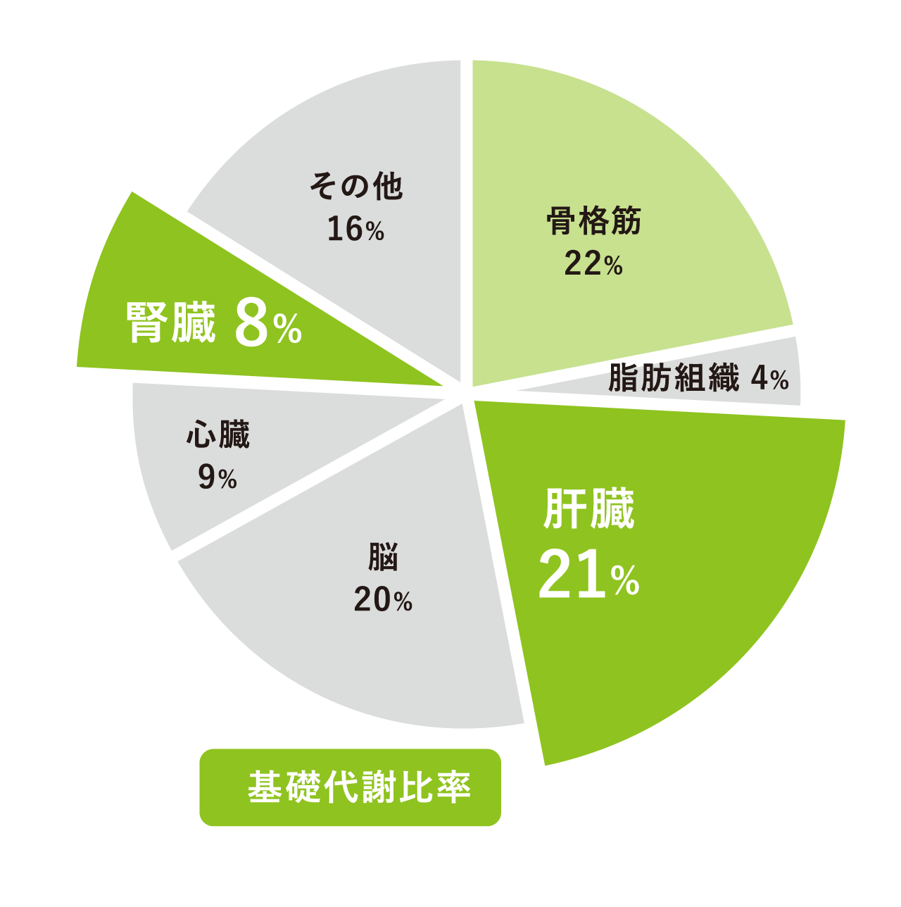 ダイエット挫折者必見！圧倒的代謝UPメソッドで効率的に痩せる方法 | WINBACK（ウィンバック）ポータル