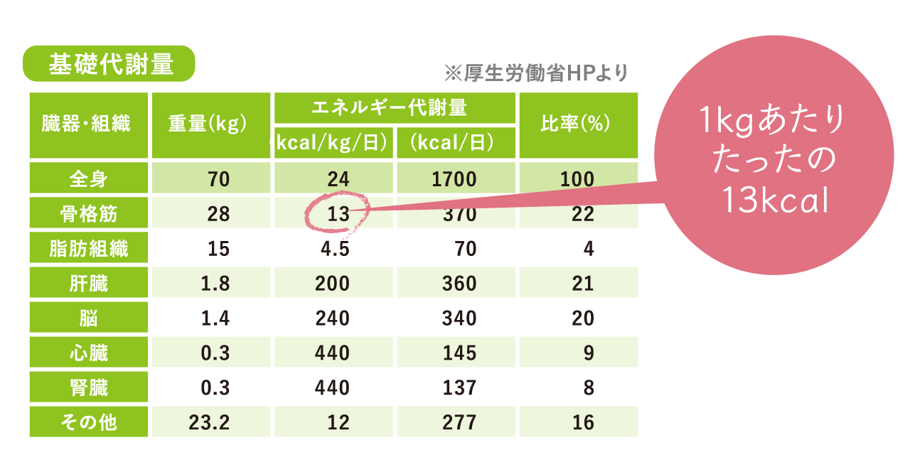 ダイエット挫折者必見！圧倒的代謝UPメソッドで効率的に痩せる方法 | WINBACK（ウィンバック）ポータル